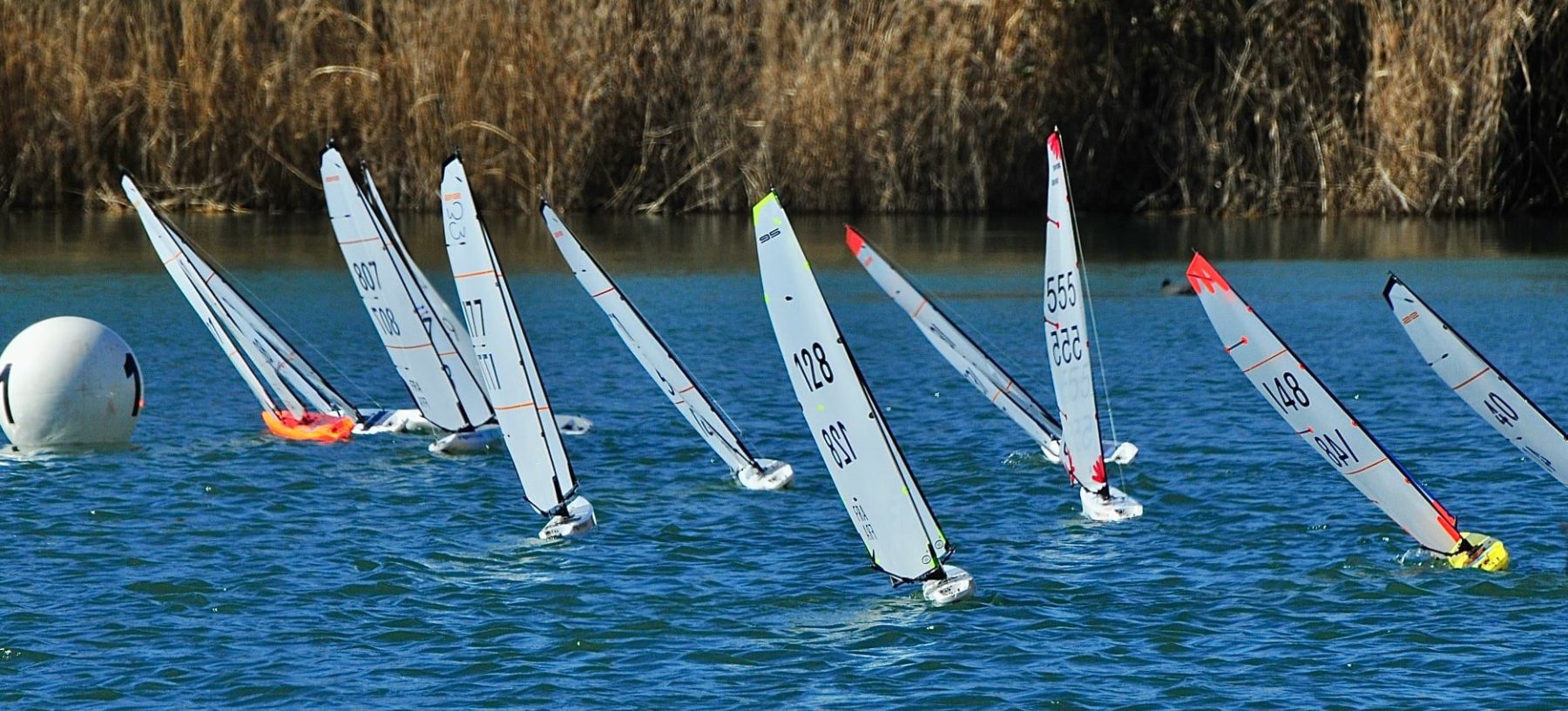 df95 france – dragonflite 95, voile radio commandée