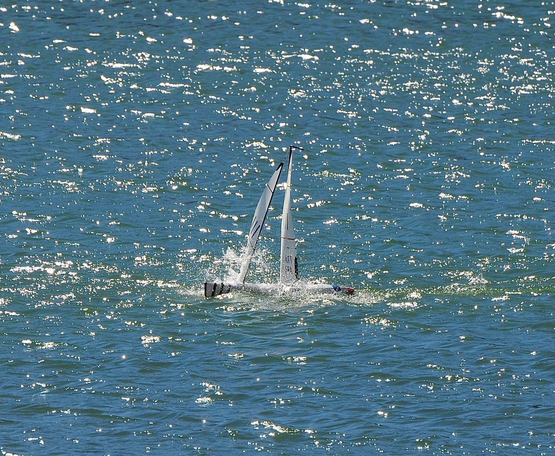 df95 france – dragonflite 95, voile radio commandée